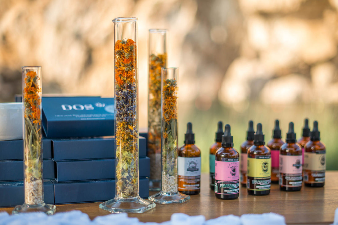 DOS Cosmetics: Traditional Medicine and Modern Cosmetology